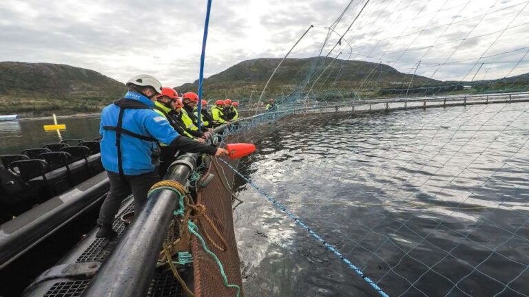 Frøya and Hitra – Cruise Norway